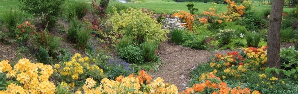 Burrow-Farm-Gardens-8-Large-1100x350 - Burrow Farm Gardens