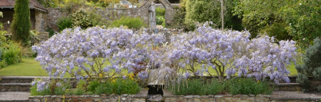 Burrow-Farm-Gardens-Visit-Devon-Holiday-South-west-Axminster-2-Copy ...